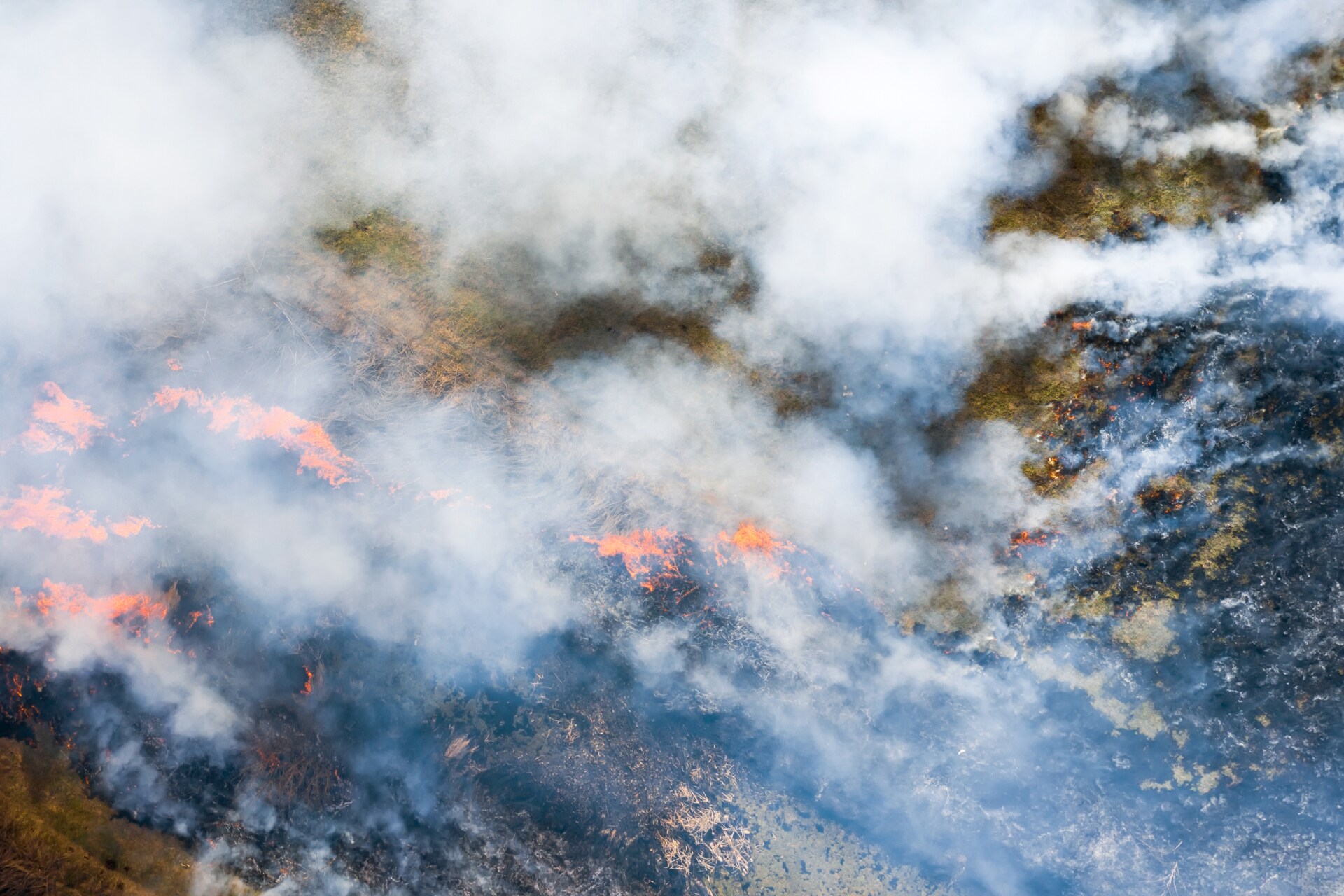 The scorching hot impact of climate change | BG SAXO